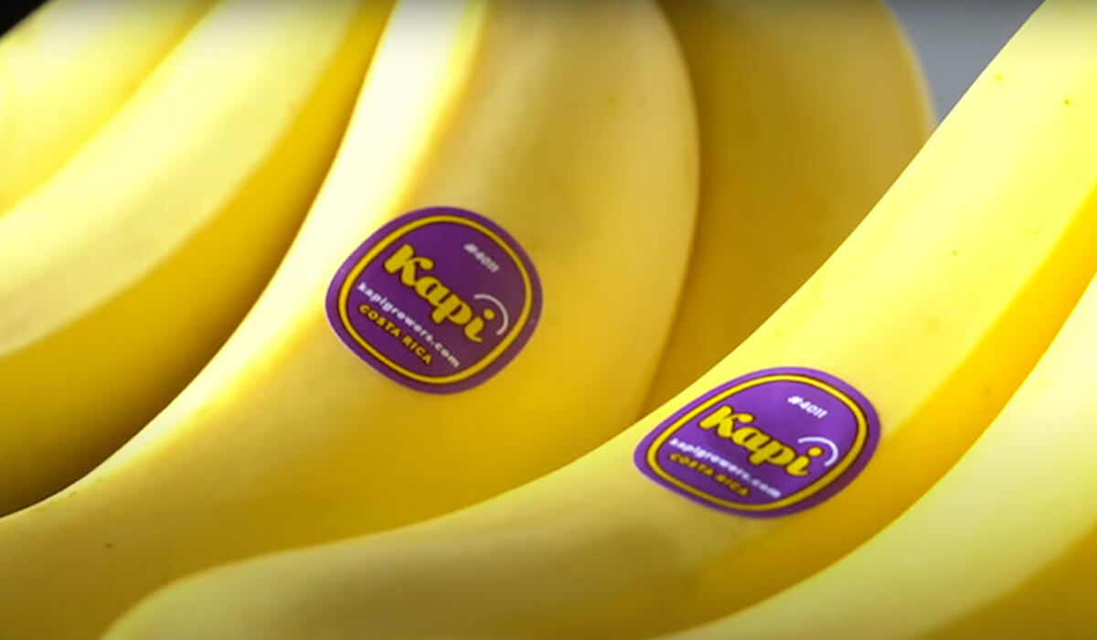 Kapi Kapi expands U.S. logistics team - Kapi Kapi Growers