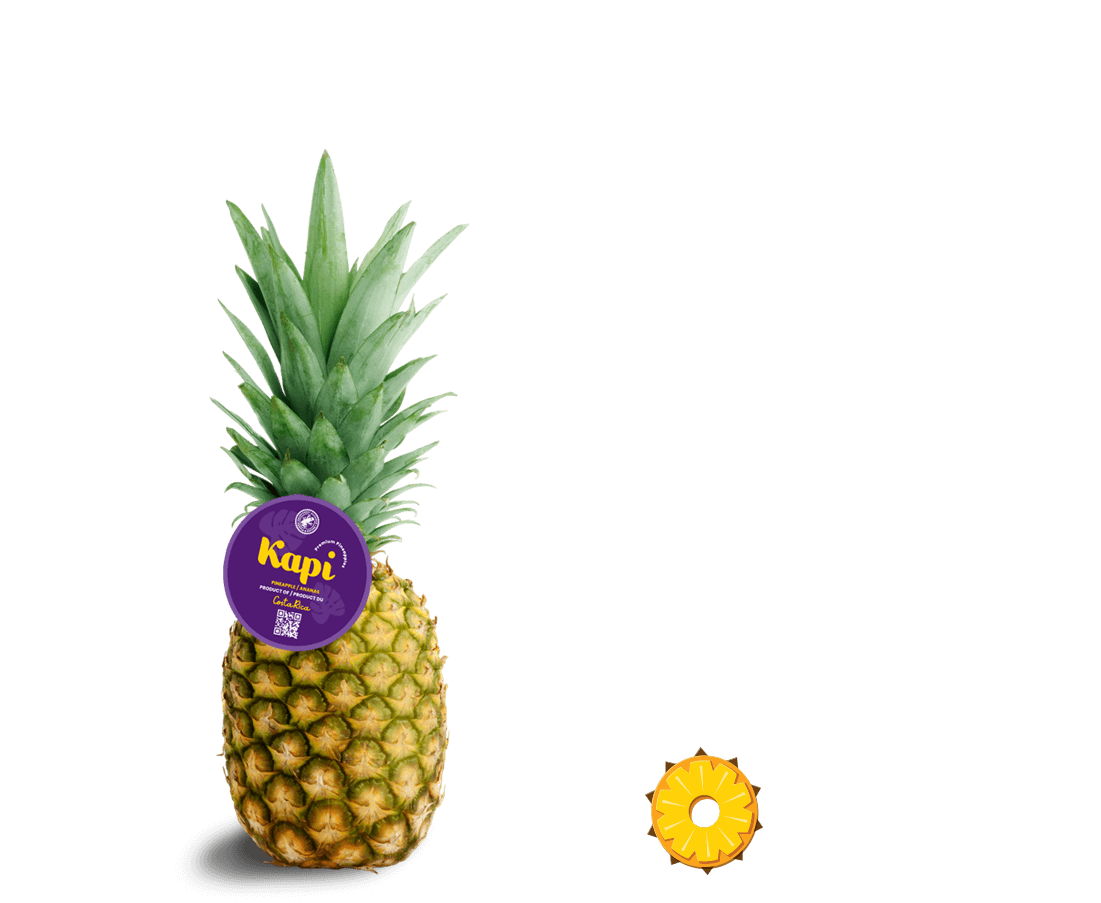Tropical Fruit Supplier, Exporter & Grower - U.S. & Europe | Kapi Kapi ...